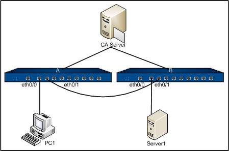 PKI Configuration Example