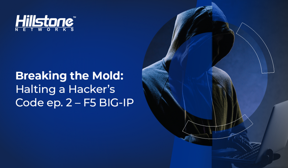 Enterprise Cybersecurity & Network Edge Protection Services | Hillstone ...