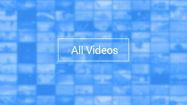 Complete Network Security for Enterprises and Data Centers - Hillstone ...